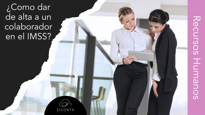 ¿Como dar de alta a un colaborador en el IMSS? – Consciencia colectiva